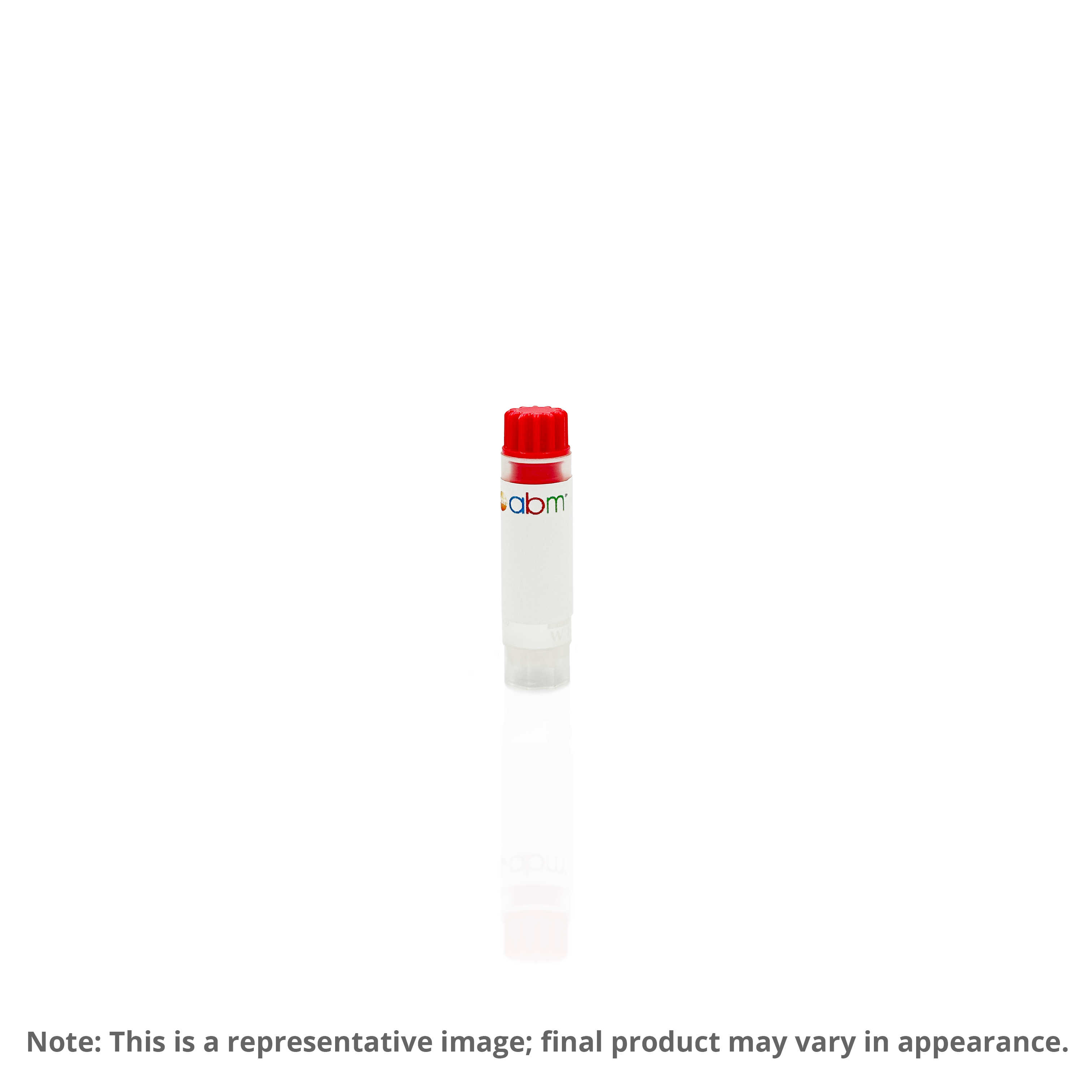 HuH7 Cells | Applied Biological Materials Inc.